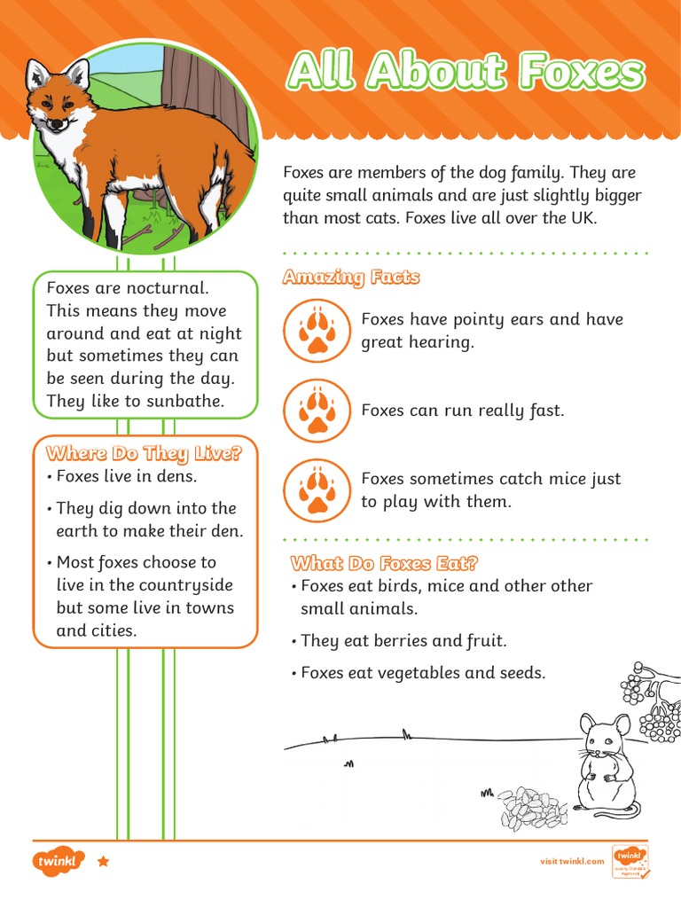 All About Foxes Differentiated Reading Comprehension | PDF | Fox | Cats