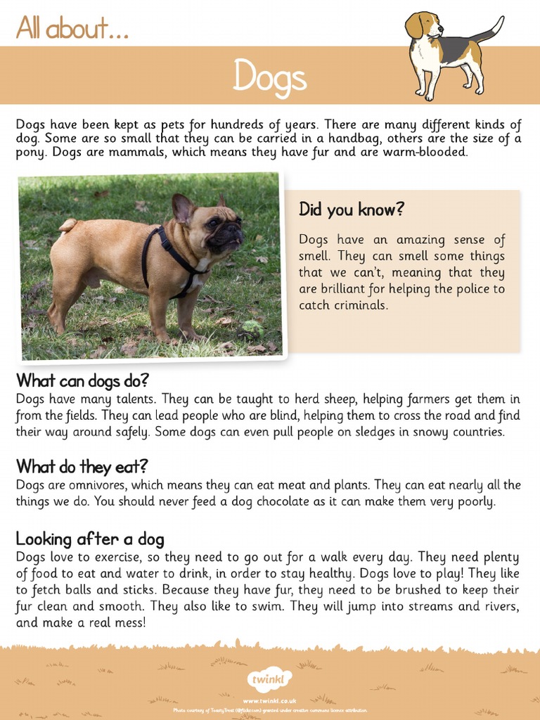 Dogs Reading Comprehension | PDF