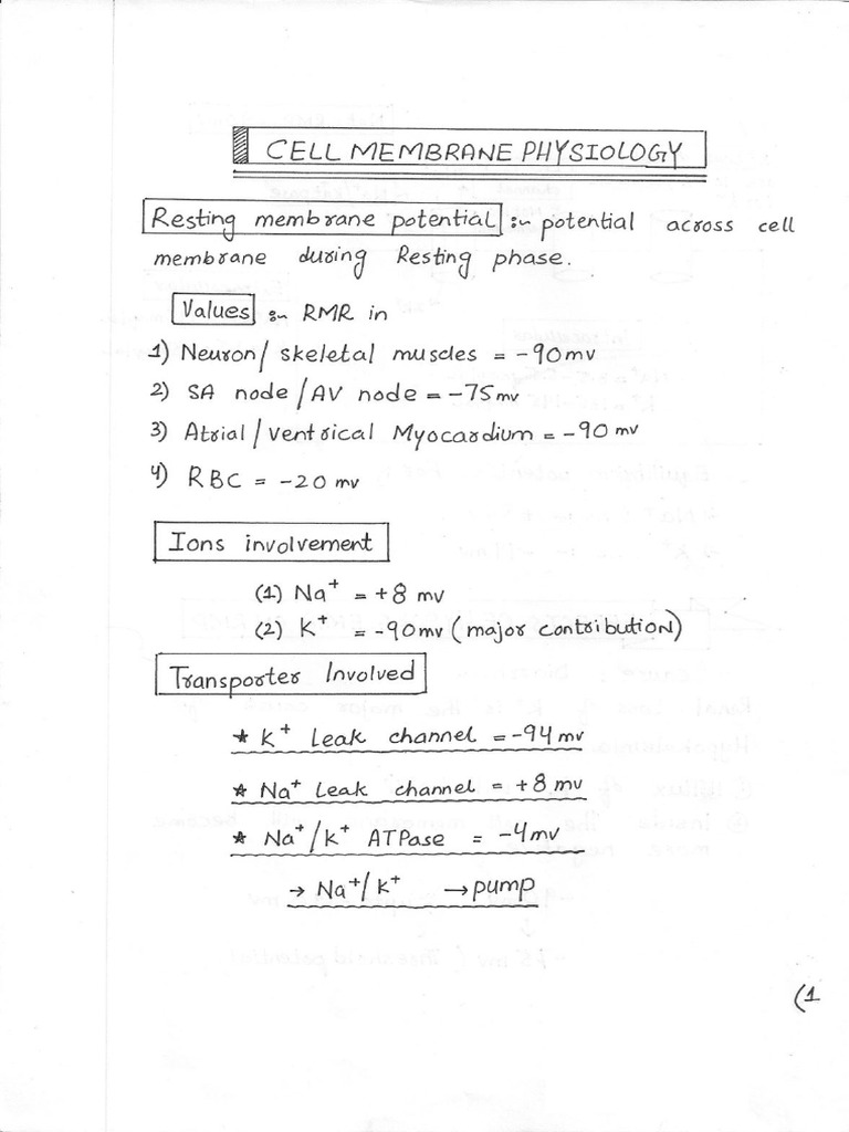 John Hopkins University-Cvs Physiology Complete Notes | PDF