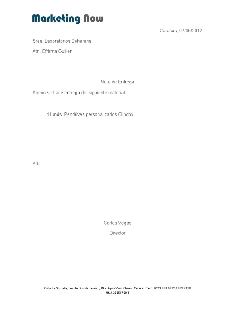 Nota de Entrega 41 Pendrives Clindox | PDF