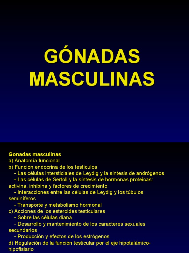 Gónadas Masculinas-3 | PDF | Testículo | Hormona luteinizante