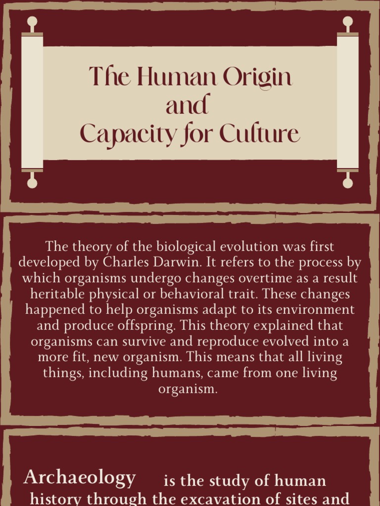 Human Origins and Cultural Evolution | PDF | Homo | Lucy (Australopithecus)