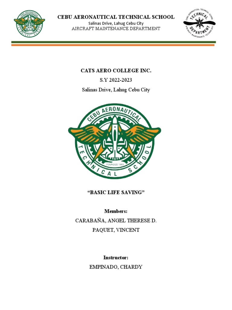Basic Life Support Training Overview | PDF | First Aid ...