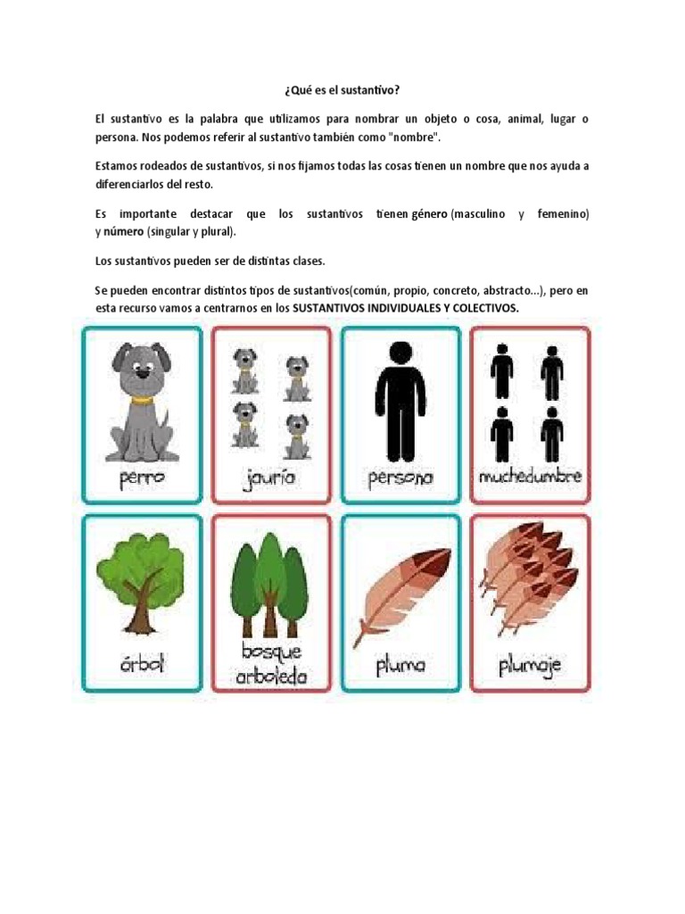 Sustantivos: Individuales y Colectivos | PDF