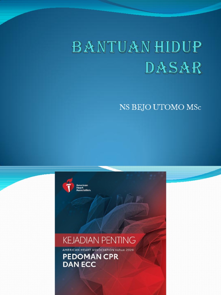 RJP Hipercci 2020 | PDF