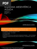 Infarto Intestinal Mesentérico | PDF | Isquemia | Infarto de miocardio