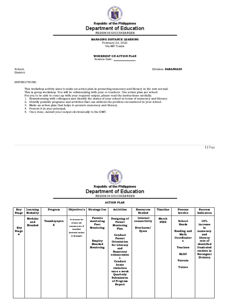 Action Plan for Literacy and Numeracy | PDF | Literacy | Human ...