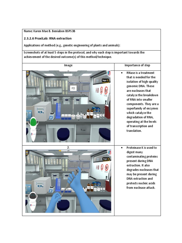 Five Key Steps in RNA Extraction and their Importance | PDF | Dna | Rna