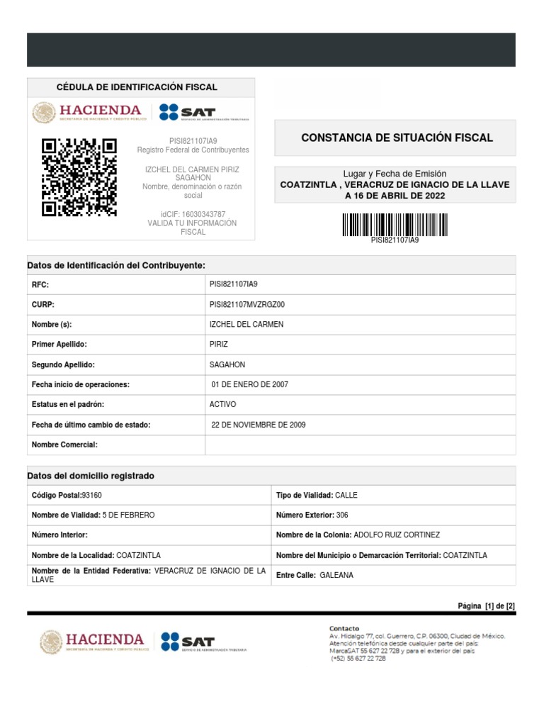 Cedula Sat RFC | PDF | Gobierno