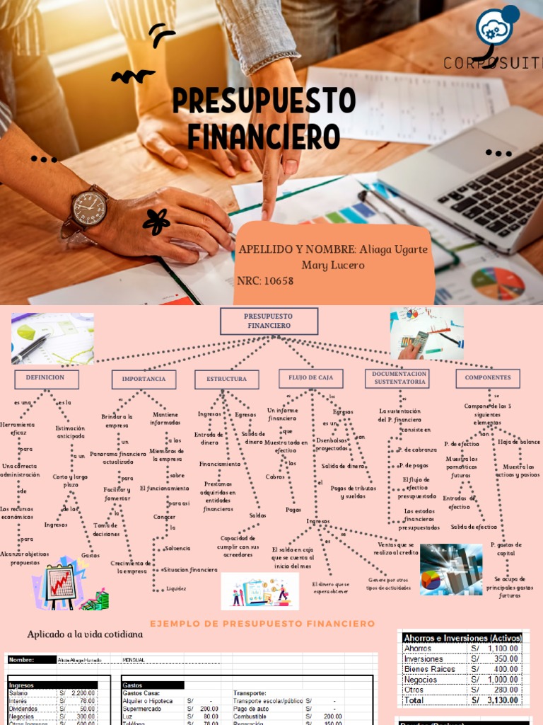 Presupuesto Financiero - Organizador | PDF | Presupuesto | Business