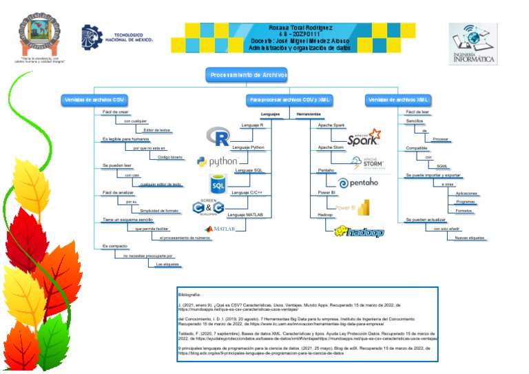 Mapa Conceptual Procesamiento de Archivos | PDF | Xml | Lenguaje de programación