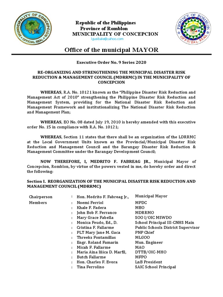 Strengthening MDRRMC in Concepcion | PDF | Risk Management | Breastfeeding