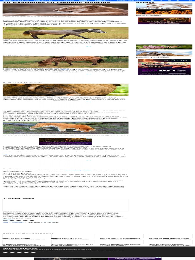 10 Examples of Genetic Hybrids - WorldAtlas | PDF | Hybrid (Biology) | Mule