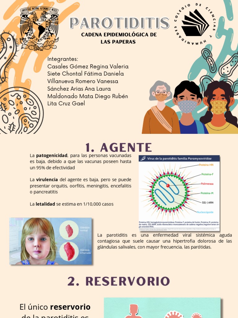 Epidemiología y síntomas de parotiditis | PDF | Enfermedades virales ...