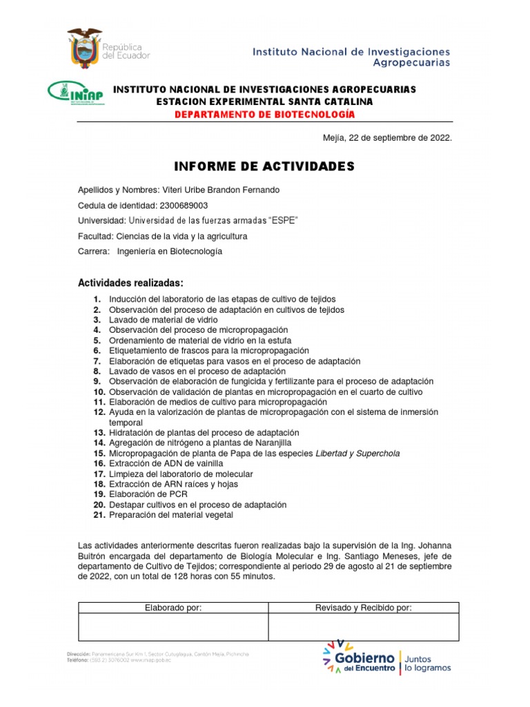 Informe de Actividades | PDF