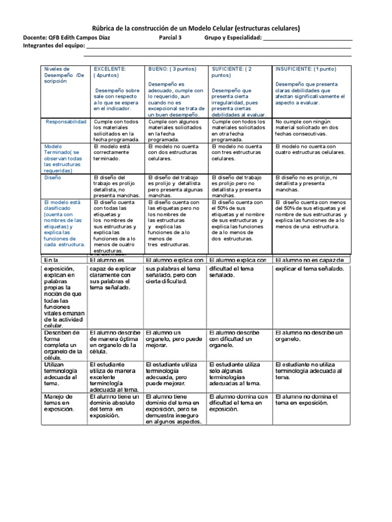 Rúbrica de La Construcción de Un Modelo Celular | PDF