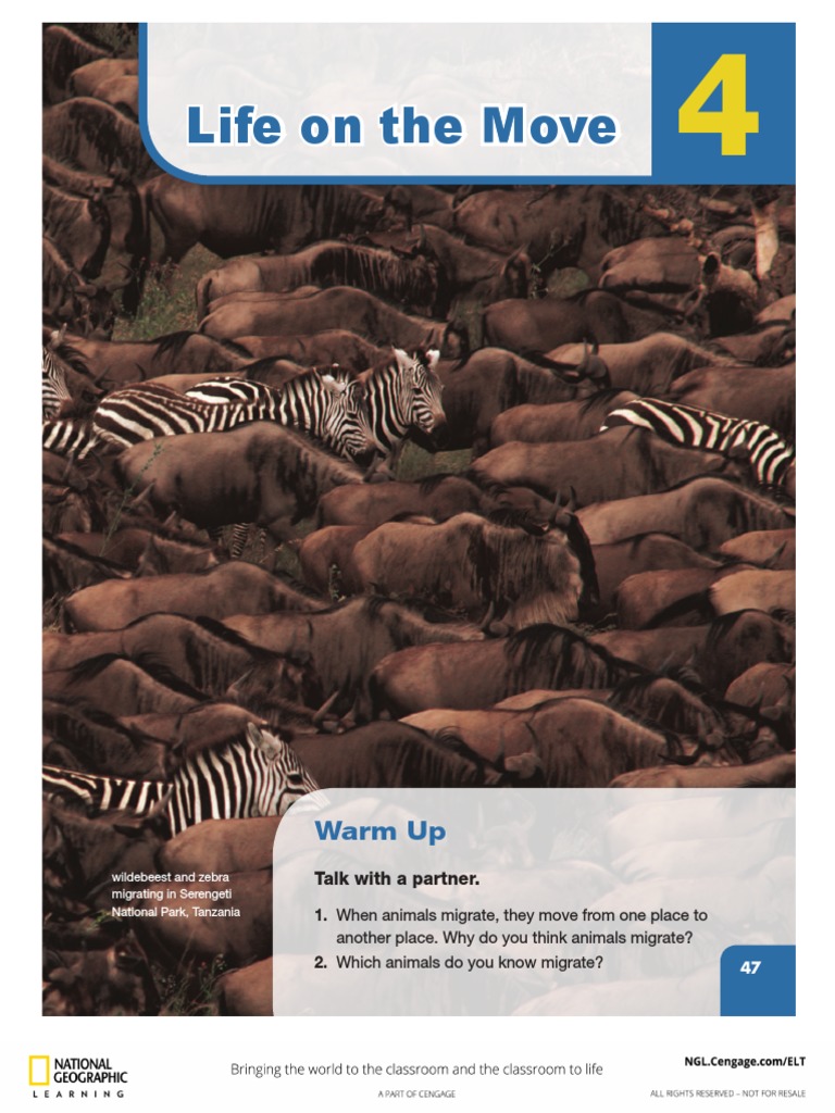 Animals Migration | PDF | Reading Comprehension