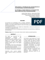 Cultivo e Identificacion Clostridium AV 2020 URP 1 | PDF | Bacilo | Microbiología
