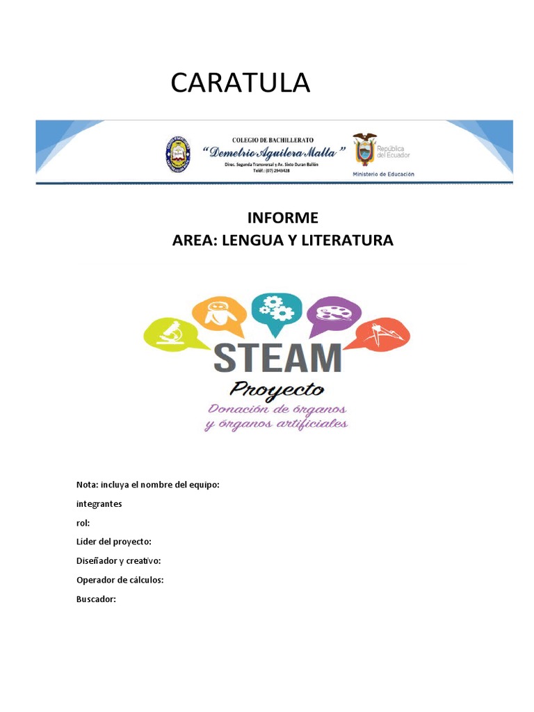 Proyecto STEAM: Informe y Carátula | PDF | Cognición