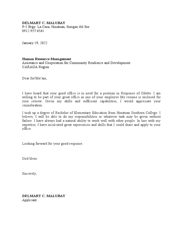 Application Letter - Delmart | PDF