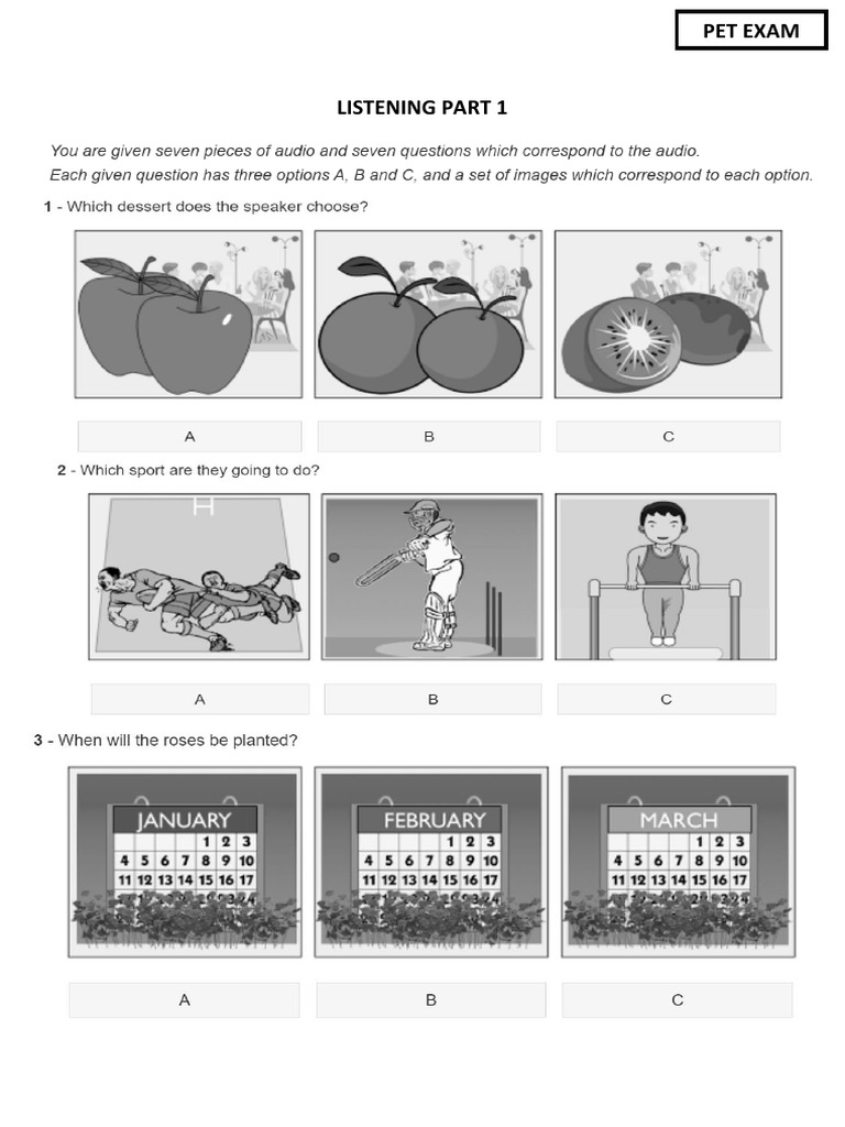 PET Exam Sections Overview | PDF