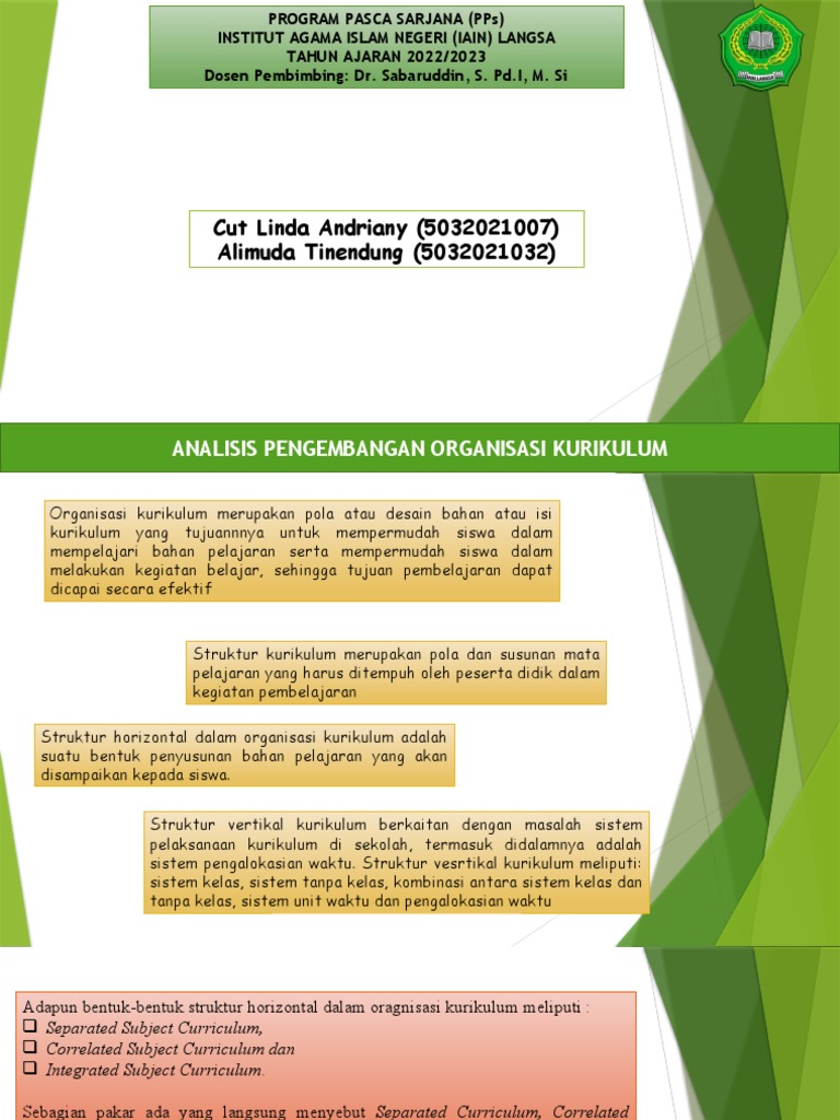 Analisis Organisasi Kurikulum | PDF