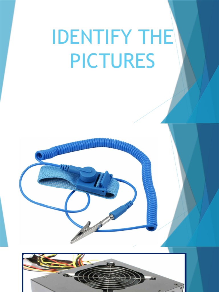 Identify The Pictures | PDF