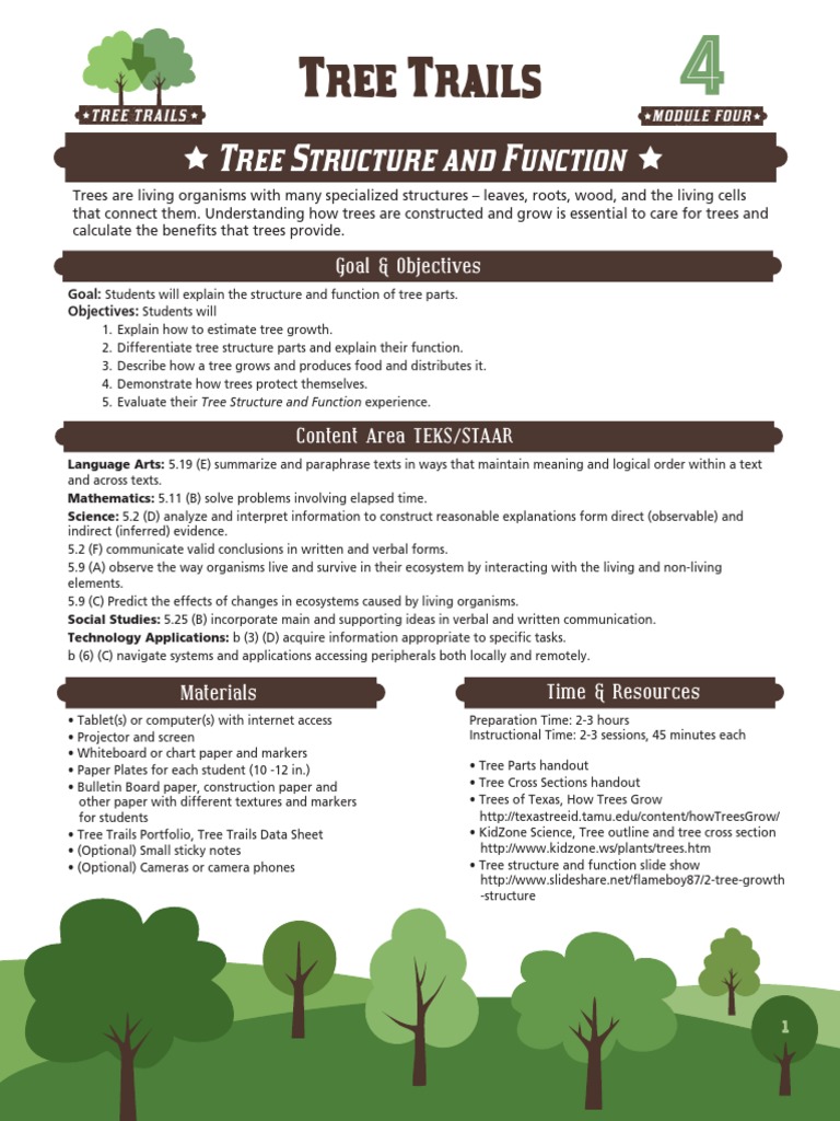 Understanding Tree Structure and Function: A Hands-On Exploration of ...