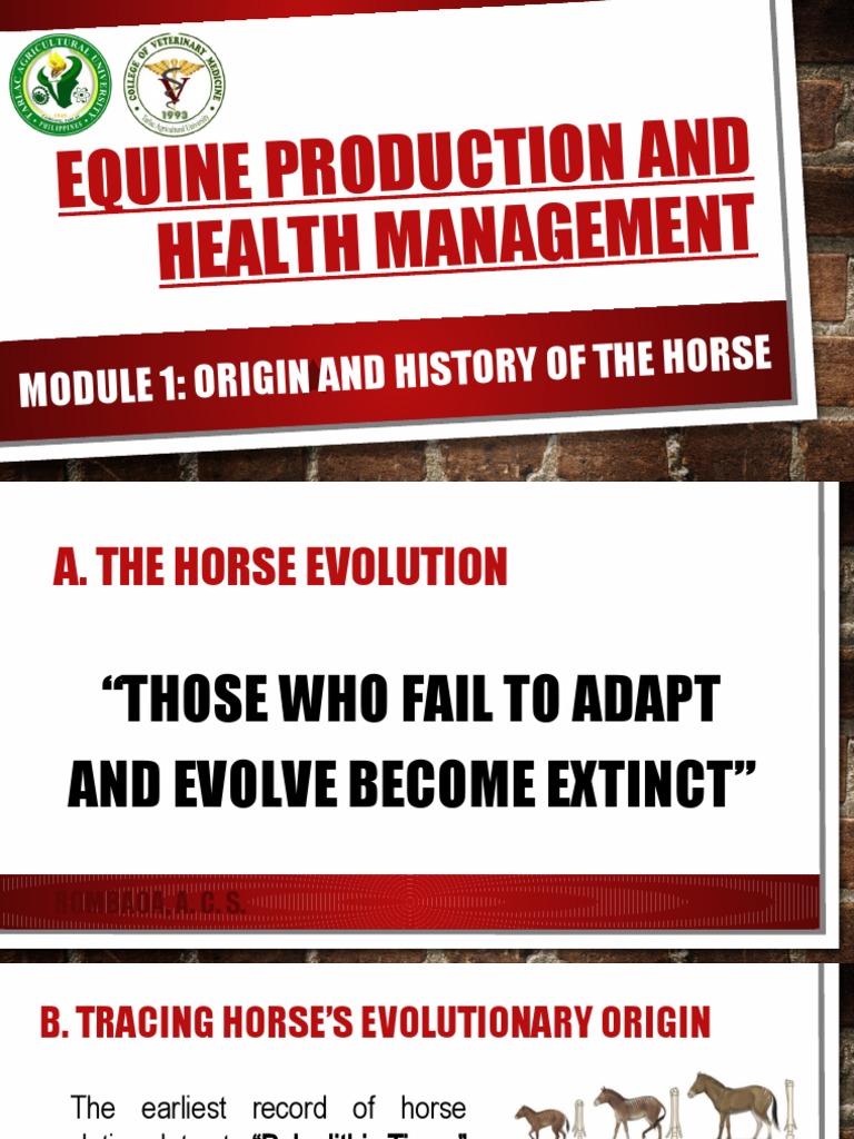 Equine Production and Health Management | PDF | Horses | Equestrianism