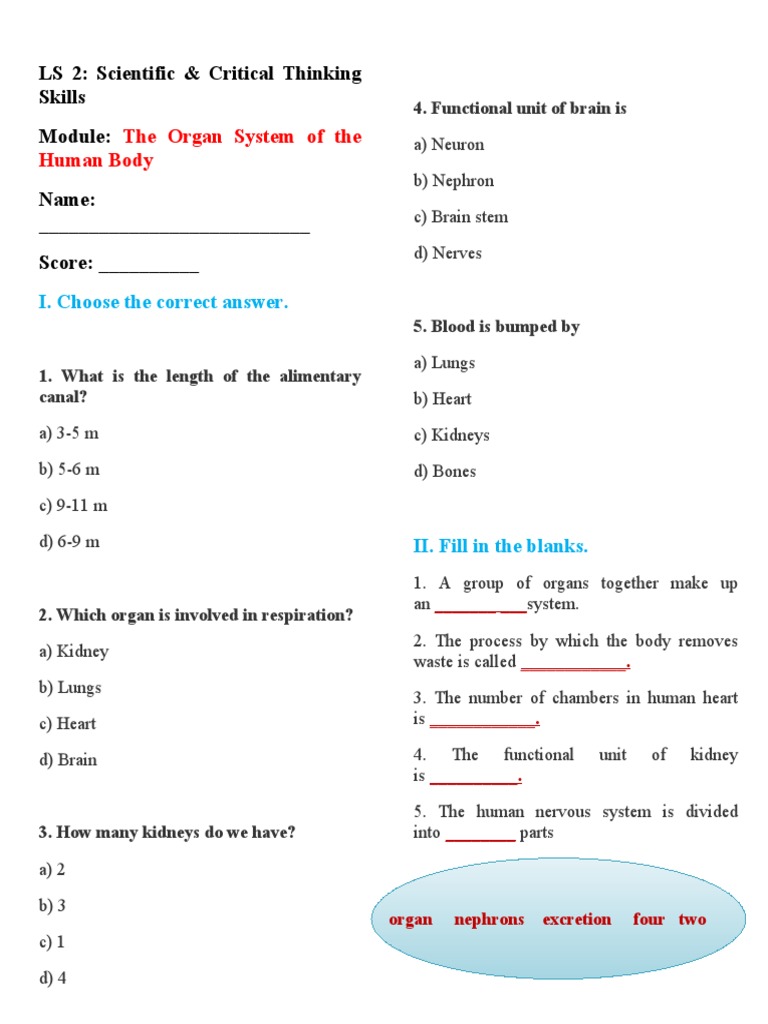 Body Systems Worksheet | Download Free PDF | Human Body | Respiratory ...