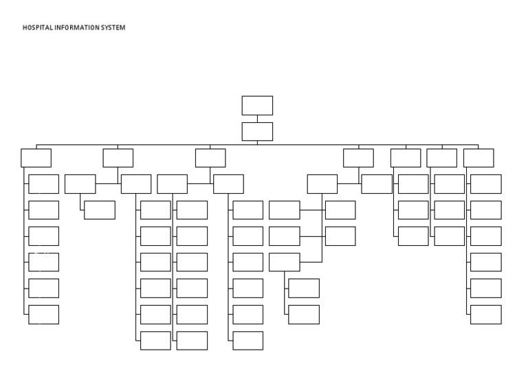 Hospital Information System | PDF | Patient | Hospital