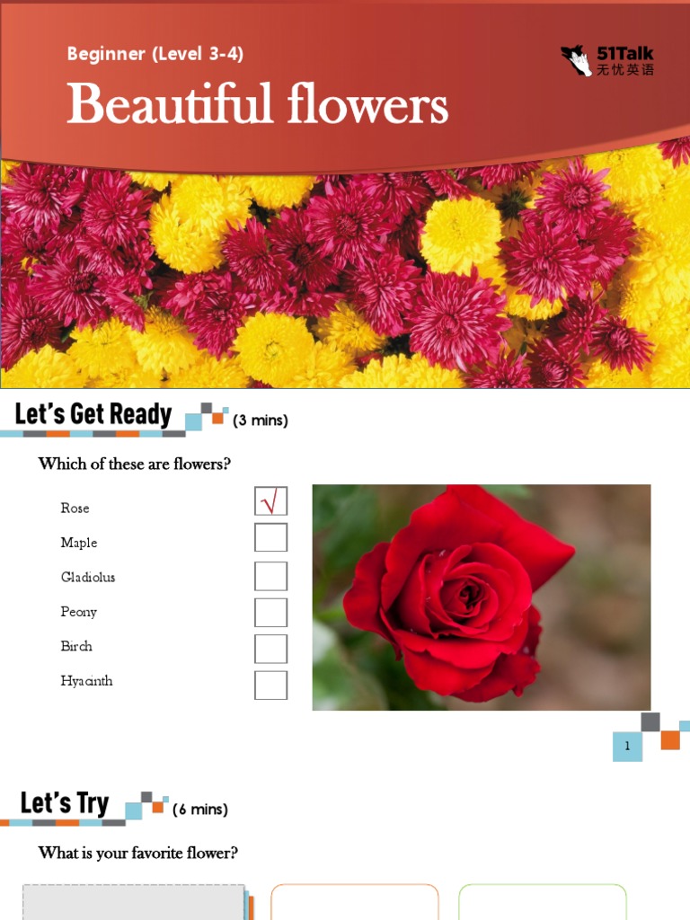 Beautiful Flowers | PDF | Flowers