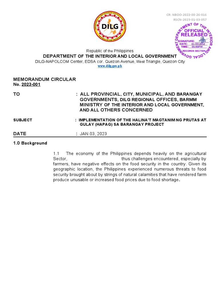 HAPAG Implementation Memorandum 2023 | PDF