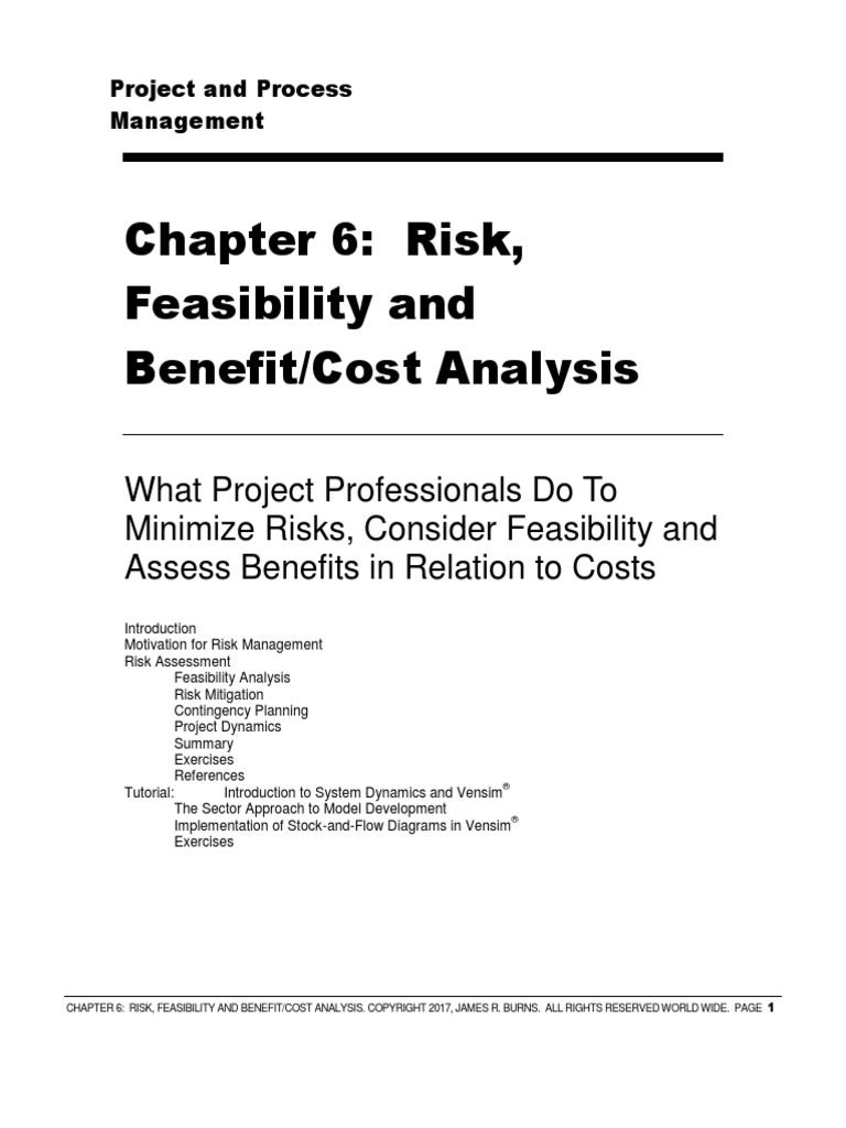 Chapter 6 - Risk Analysis | PDF | Risk | Risk Management