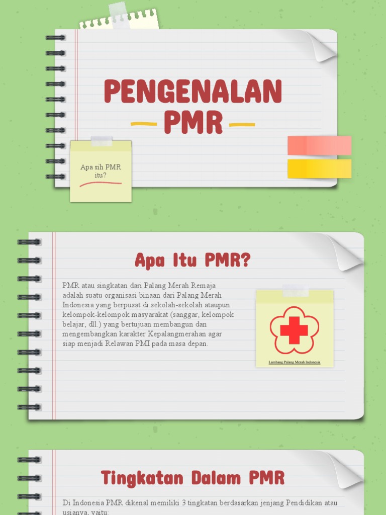 Pengenalan PMR: Apa Sih PMR Itu? | PDF