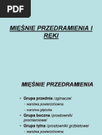 Anatomia Swini Atlas Interaktywny | PDF