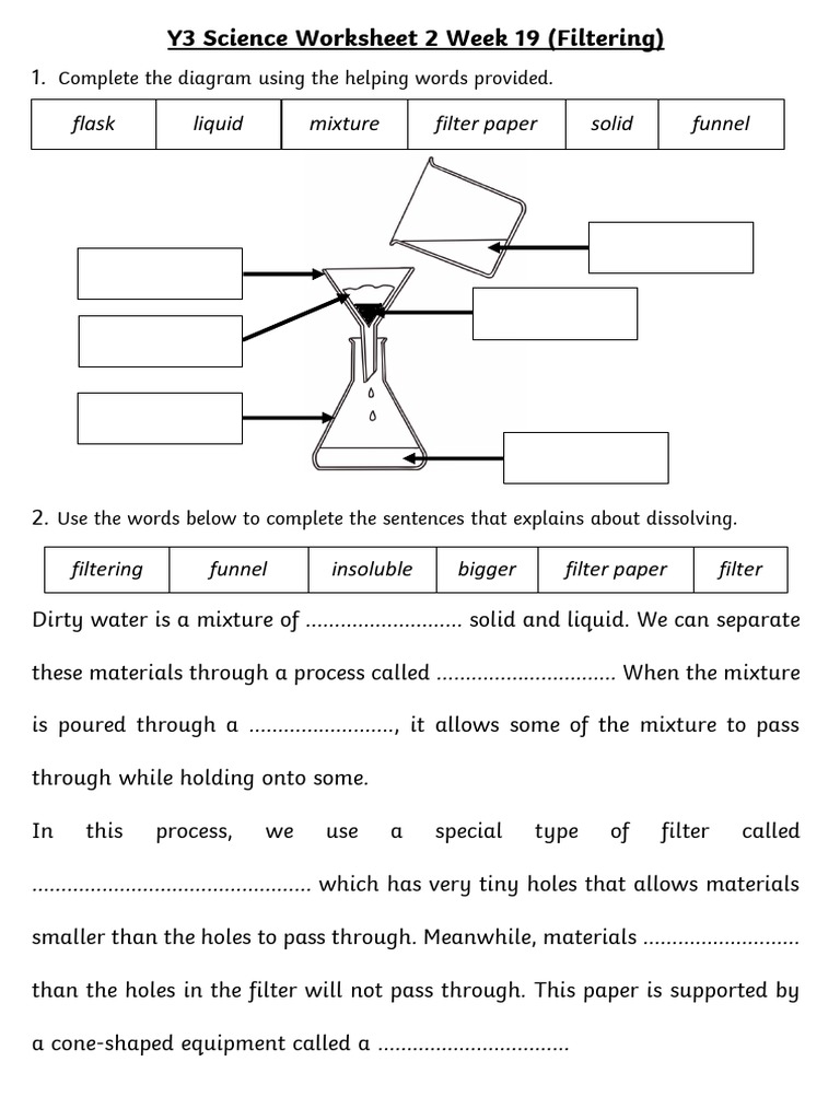 Y3 Science Worksheet 2 Week 19 Filtering Pdf