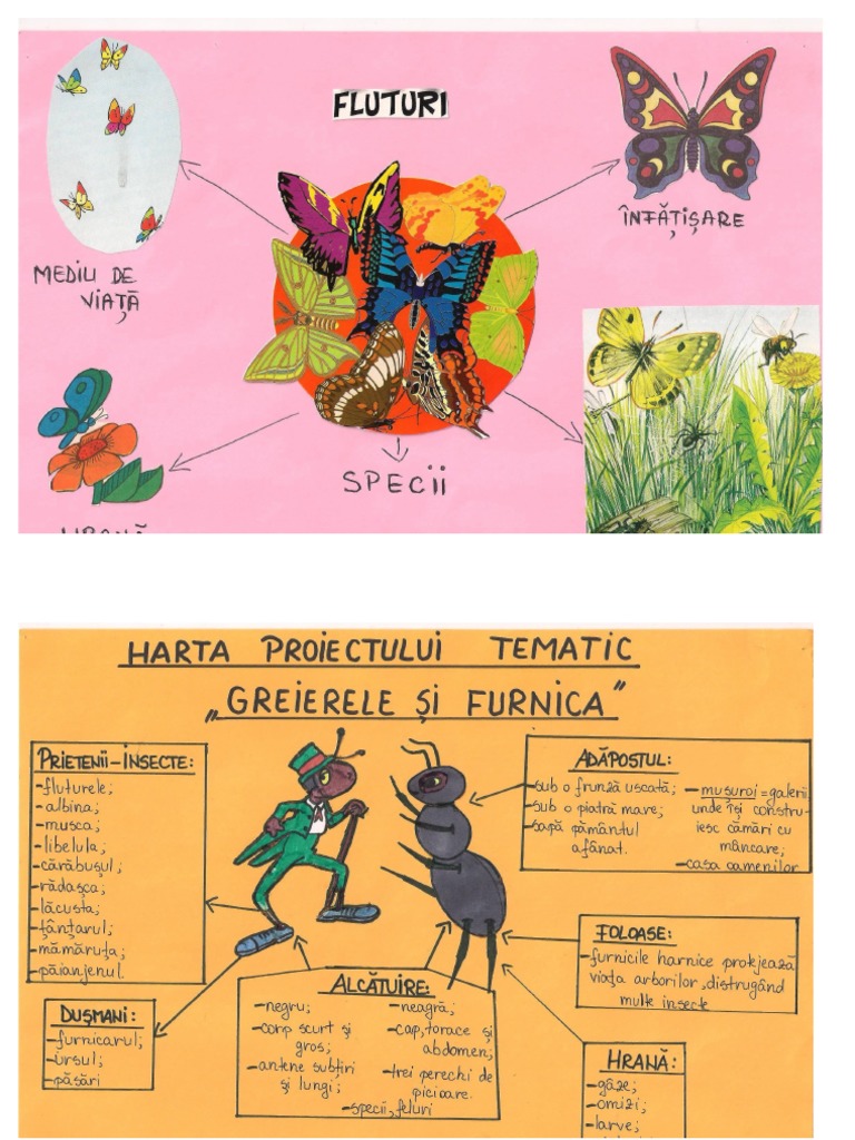 Harti Pentru Proiecte Tematice Cu Tema Insecte | PDF