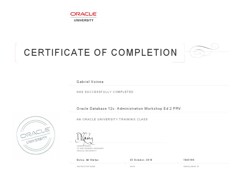 Oracle Database 12c Workshop Completion | PDF
