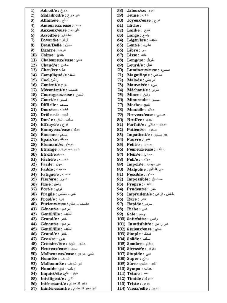 100 Adjectifs de Francais | PDF