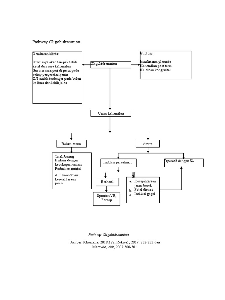 Bagan 2.1 Pathway Pathway Oligohidramnion | PDF