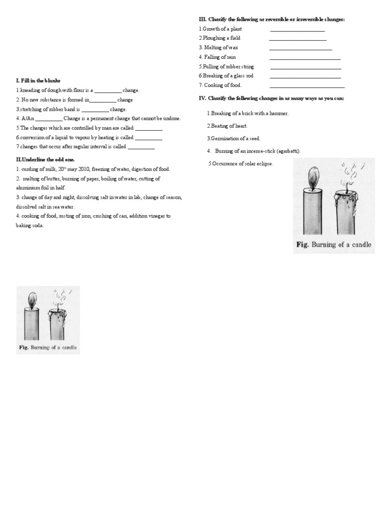 Grade 6 Science | PDF