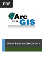 Penuntun ArcGIS 10.8 | PDF