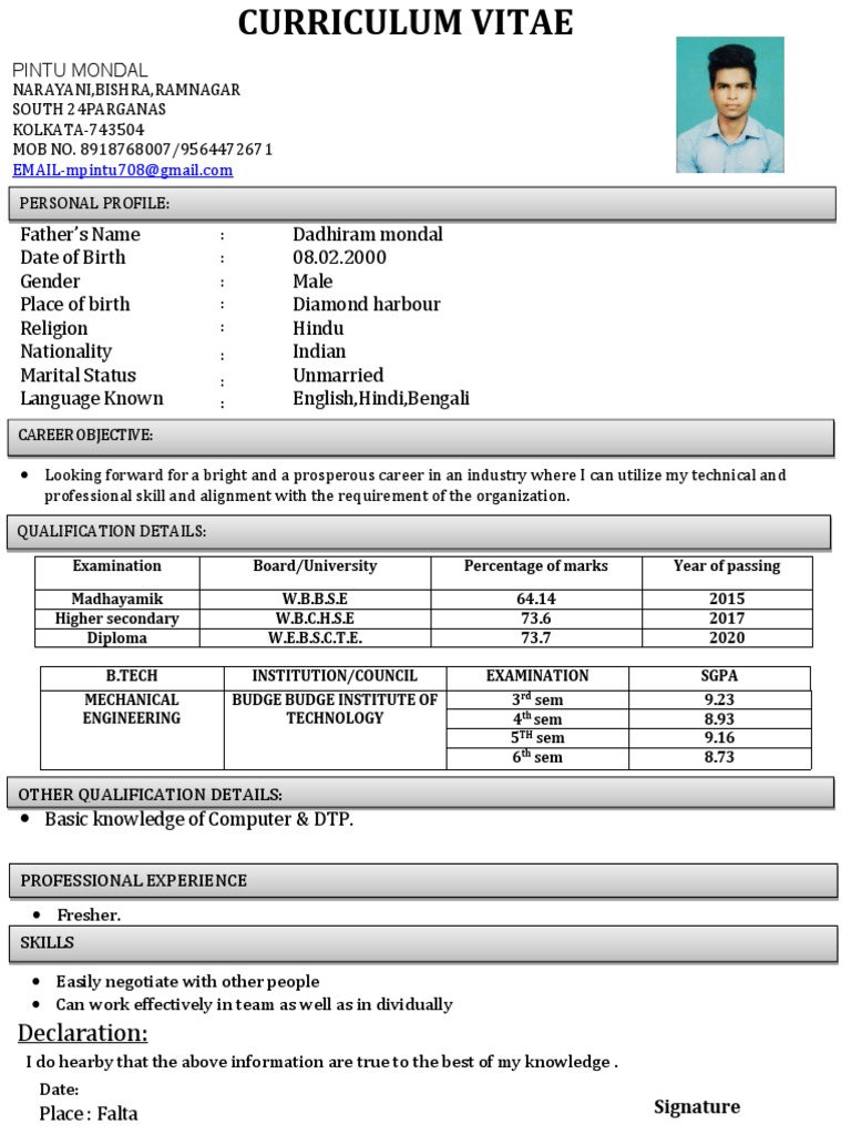 Pintu Complete CV | PDF
