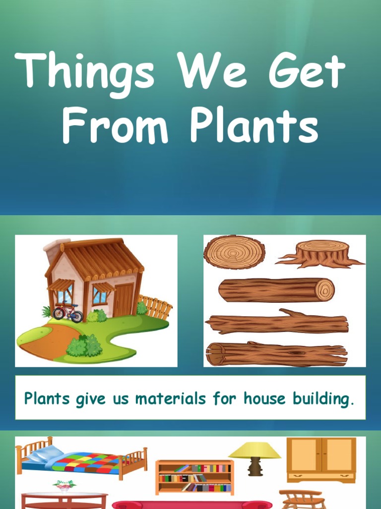 Things We Get From Plants | PDF