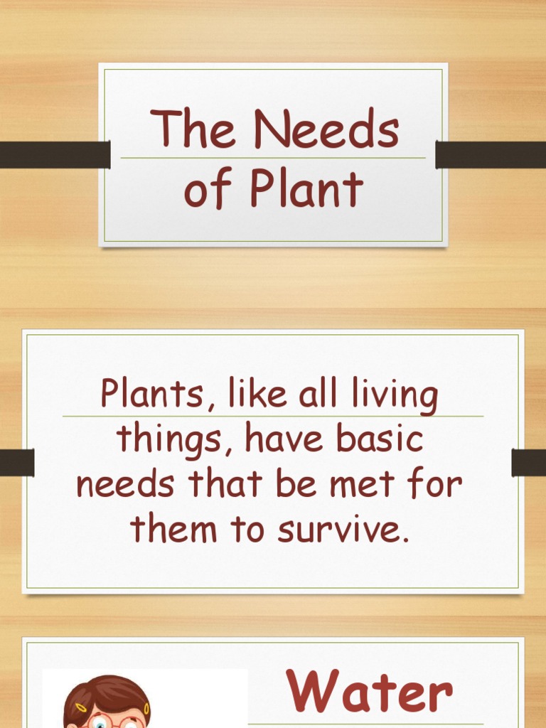 The Basic Needs of Plants: Water, Sunlight, Soil, Fertilizer & Air | PDF