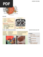 Optha Case Sheet Proforma | PDF | Cataract | Human Eye