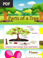 Parts of A Tree Worksheet | PDF
