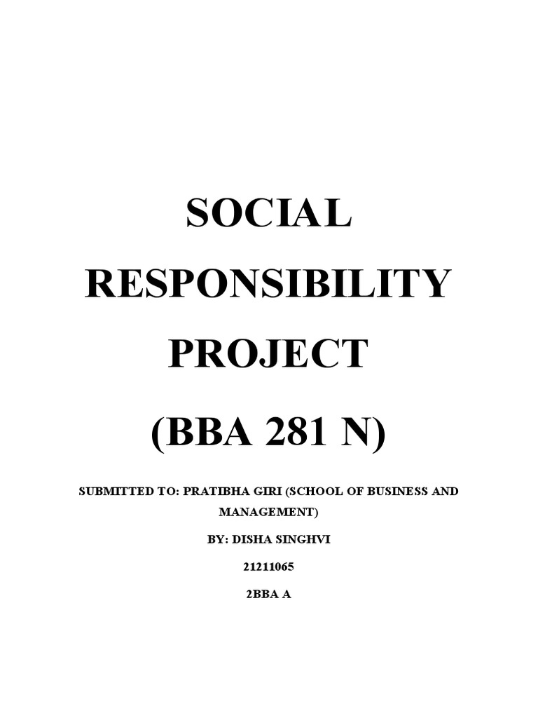 Social Responsibility Project | PDF | Corporate Social Responsibility ...