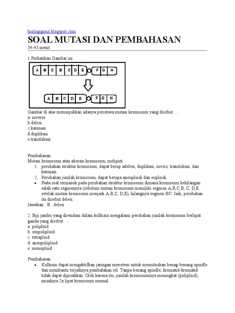 Mutasi Soal Dan Pembahasan | PDF